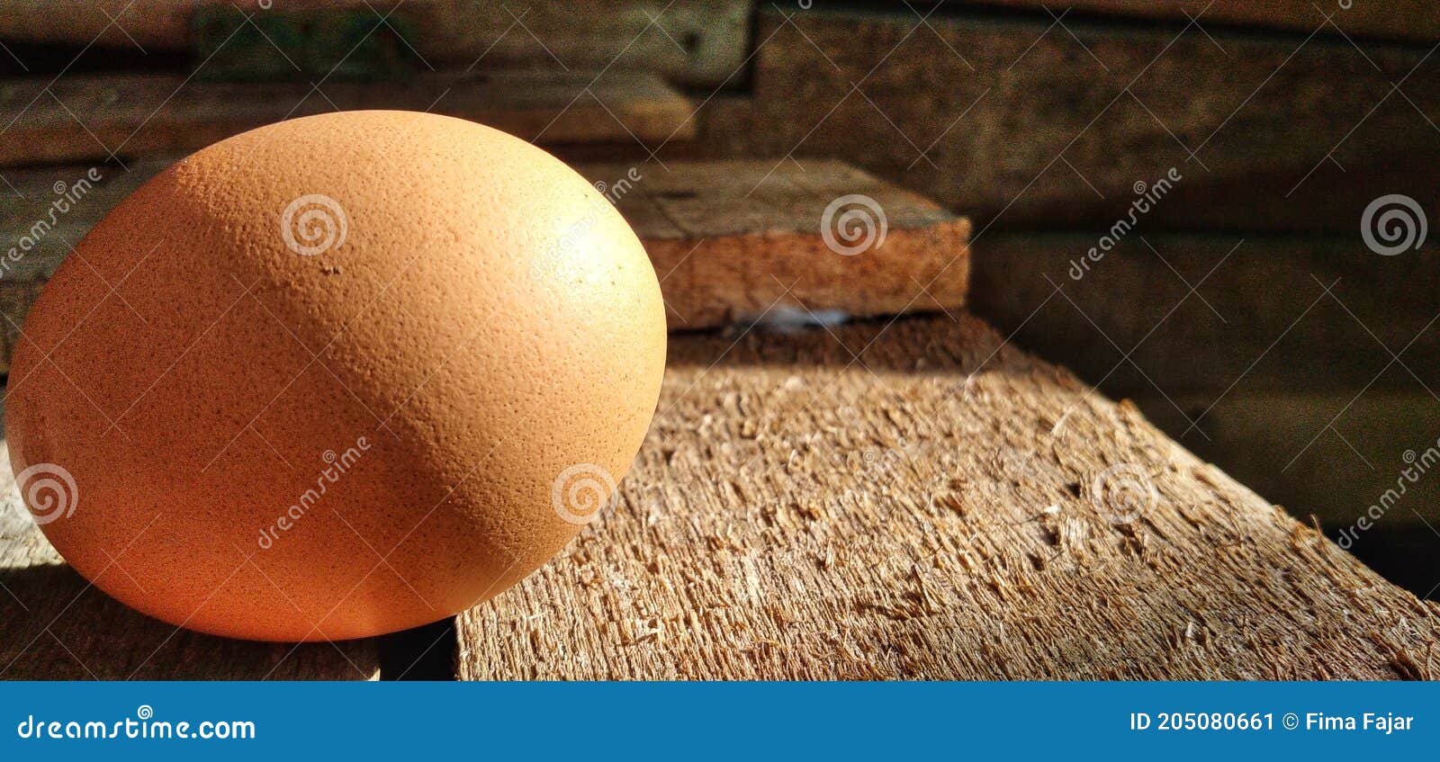 Native chicken eggs stock image. Image of chicken, eggs - 205080661