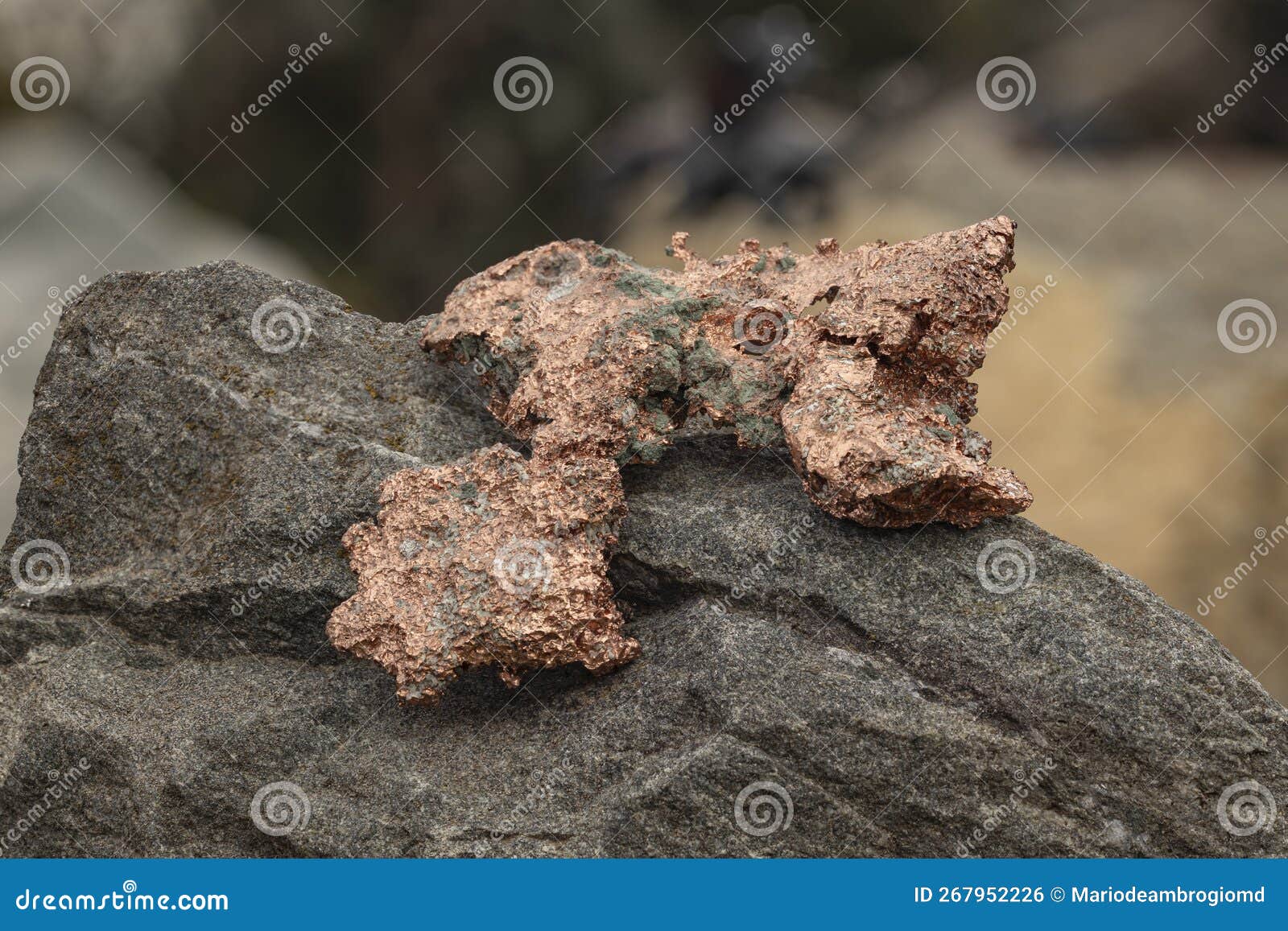 Native Copper, Metalic Mineral. Mineral Sample Stock Photo - Image of ...
