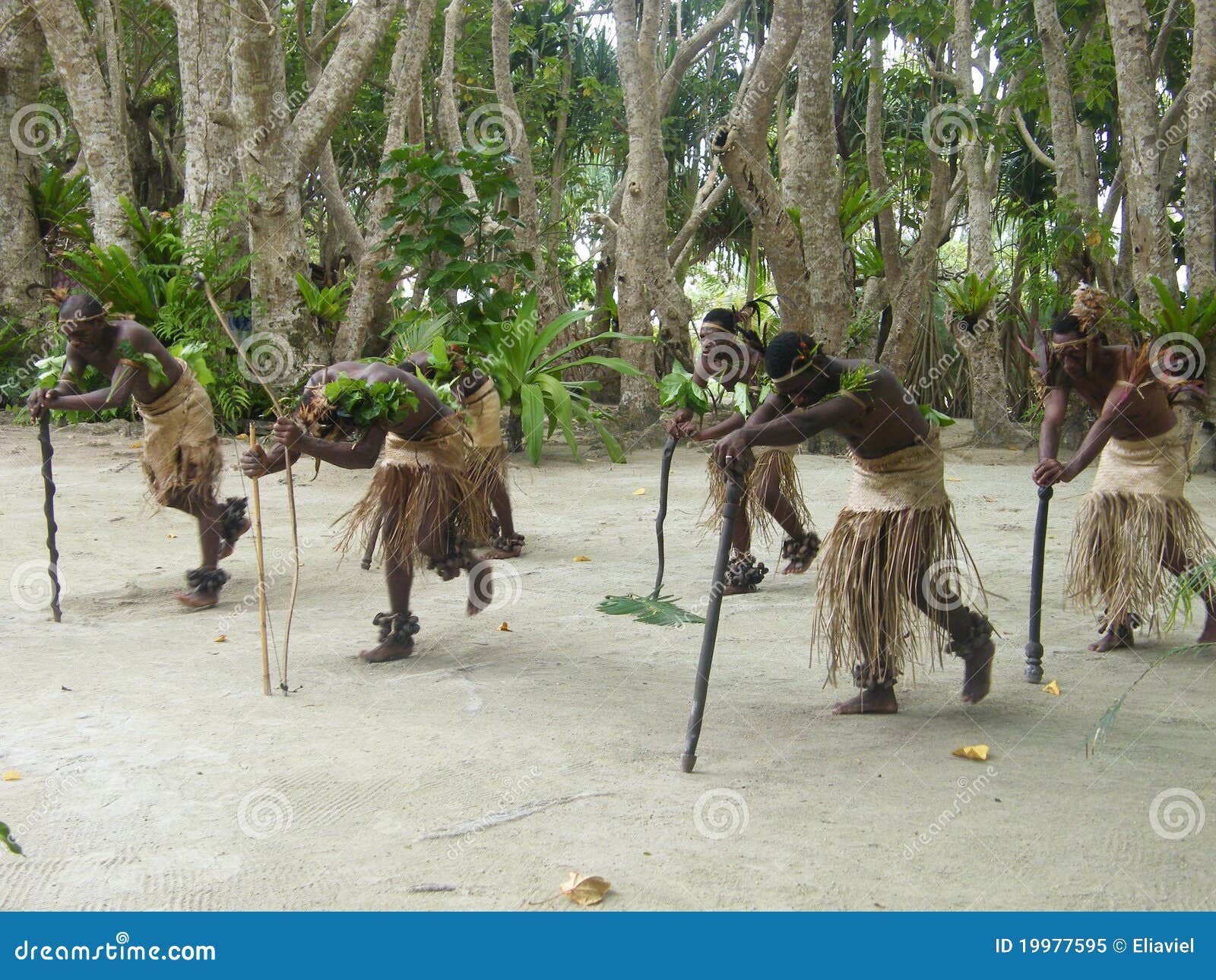 Native dancers in Vanuatu editorial image. Image of ceremony - 19977595