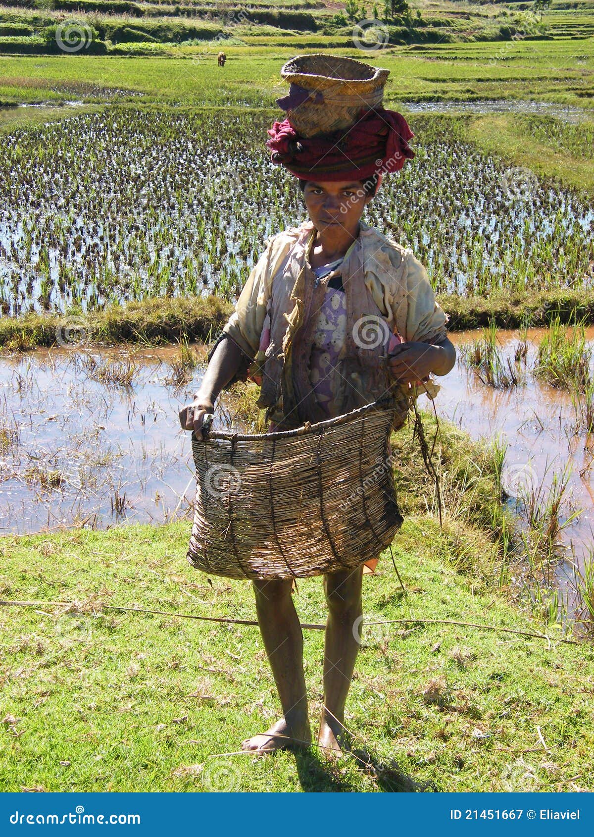 Native farmer woman editorial photography. Image of african - 21451667