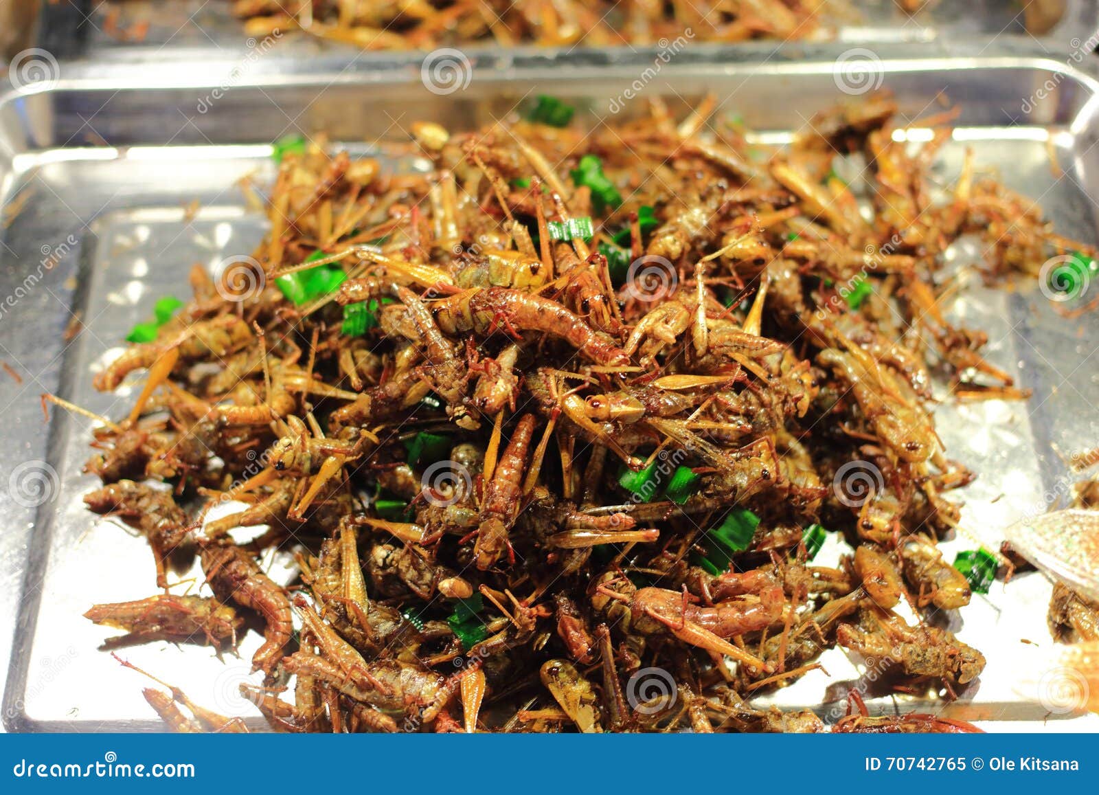 Native food stock image. Image of delicious, market, grasshopper - 70742765