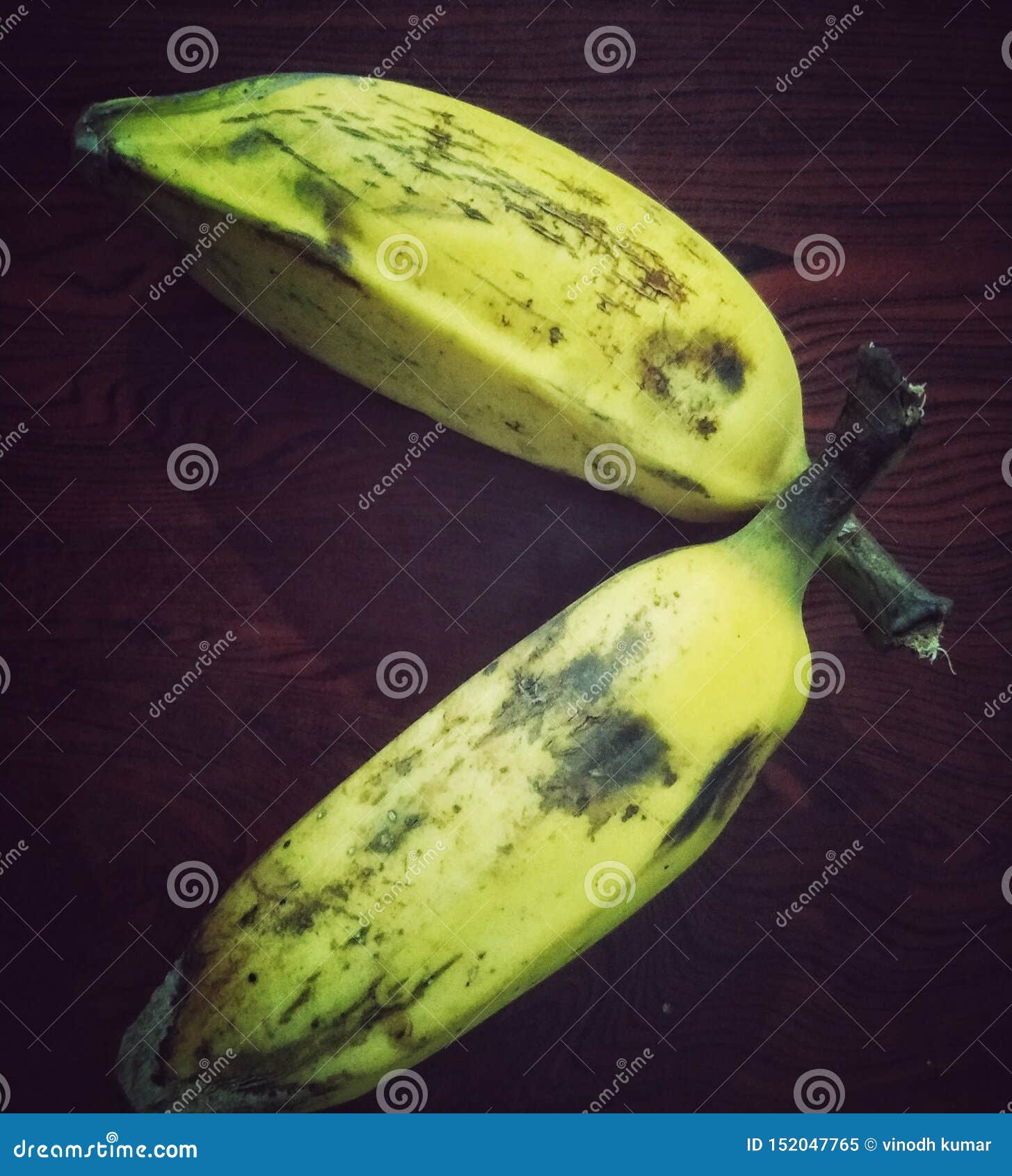 Native fruit banana stock image. Image of banana, native - 152047765