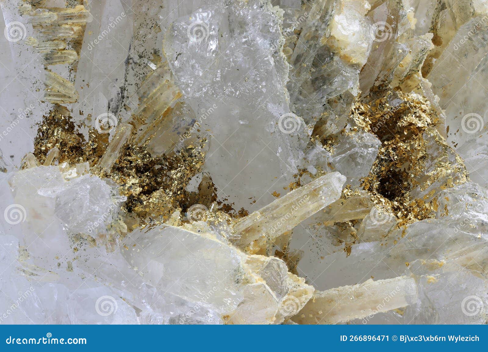 Native Gold on Clear Quartz Stock Image - Image of crystal, natural ...