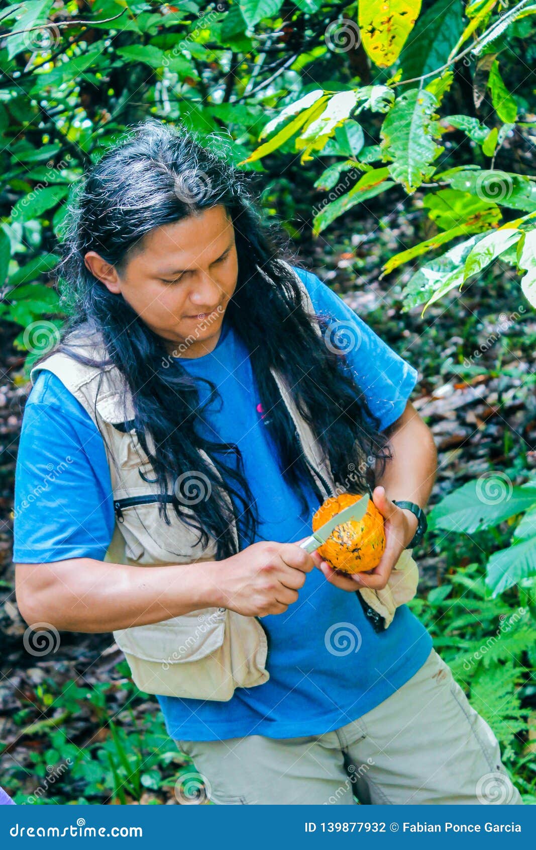 Native Guide of Ecuador Opening a Cocoa Editorial Photography - Image ...