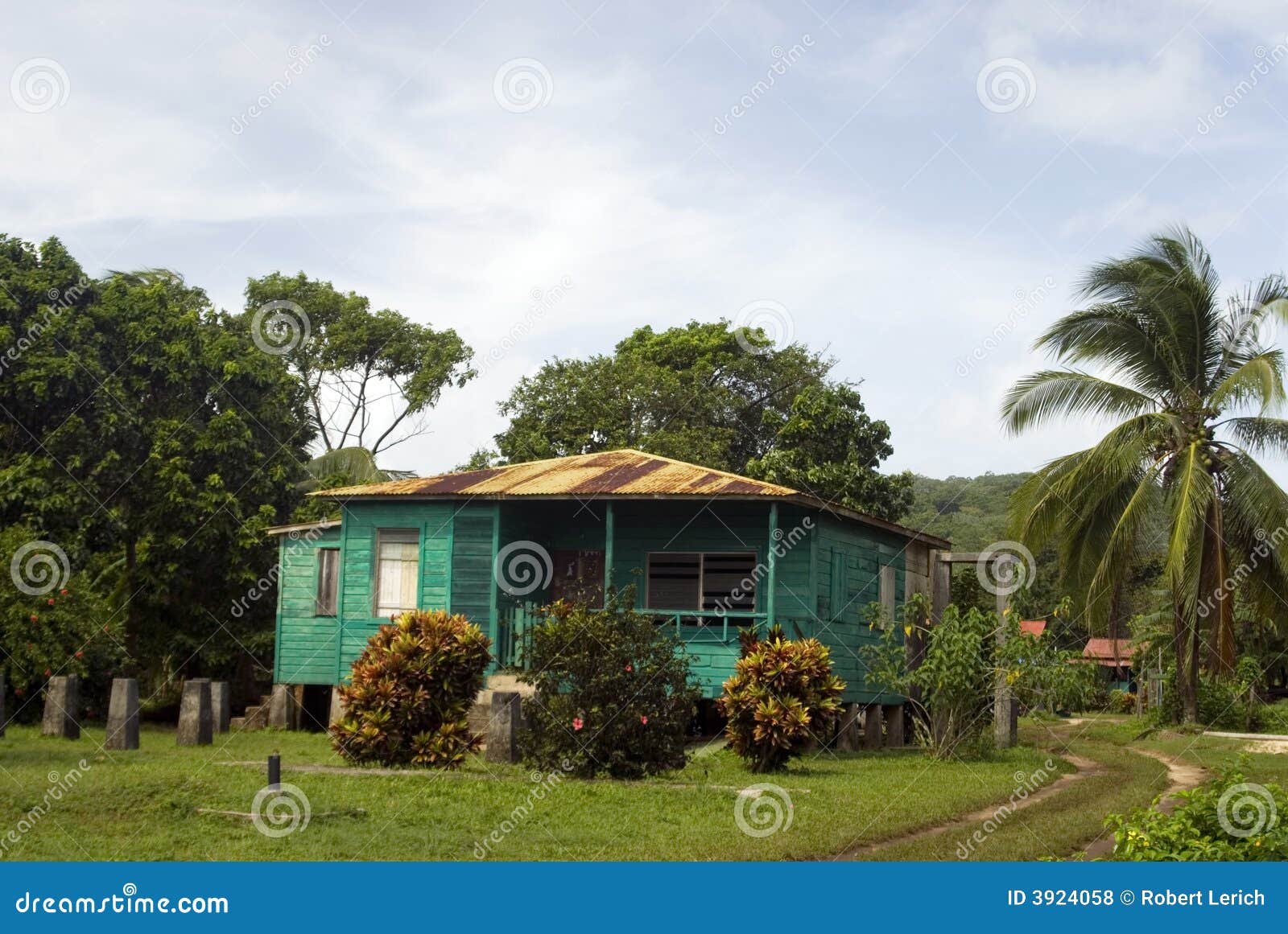 Native house stock photo. Image of jungle, local, trees - 3924058