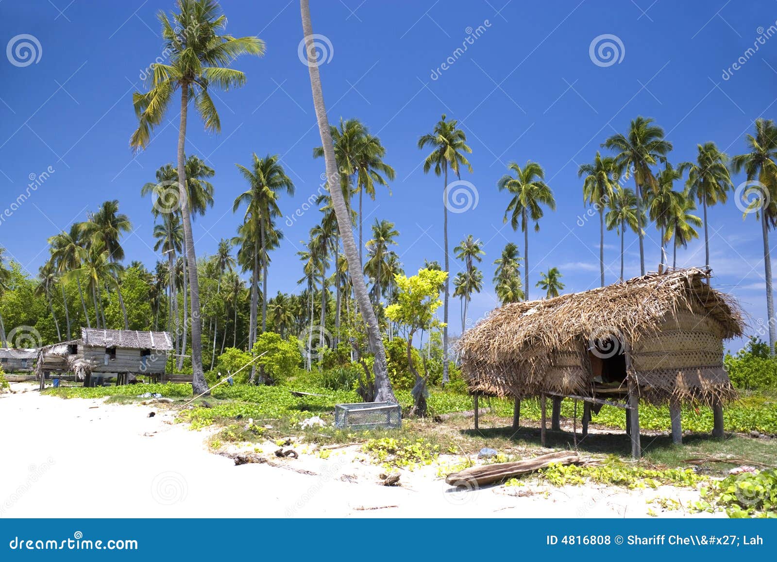 Native Hut on Tropical Island Stock Photo - Image of oasis, tree: 4816808
