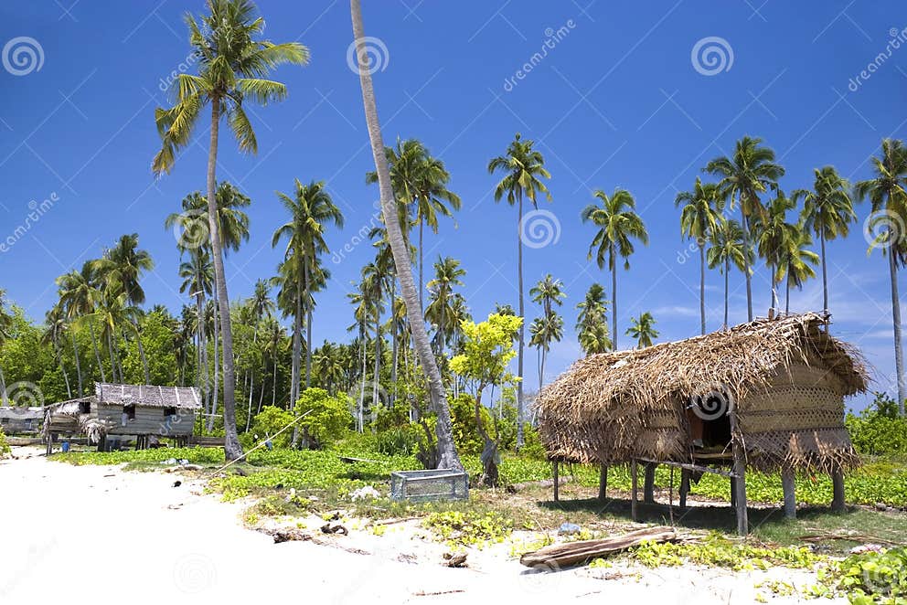 Native Hut on Tropical Island Stock Photo - Image of oasis, tree: 4816808