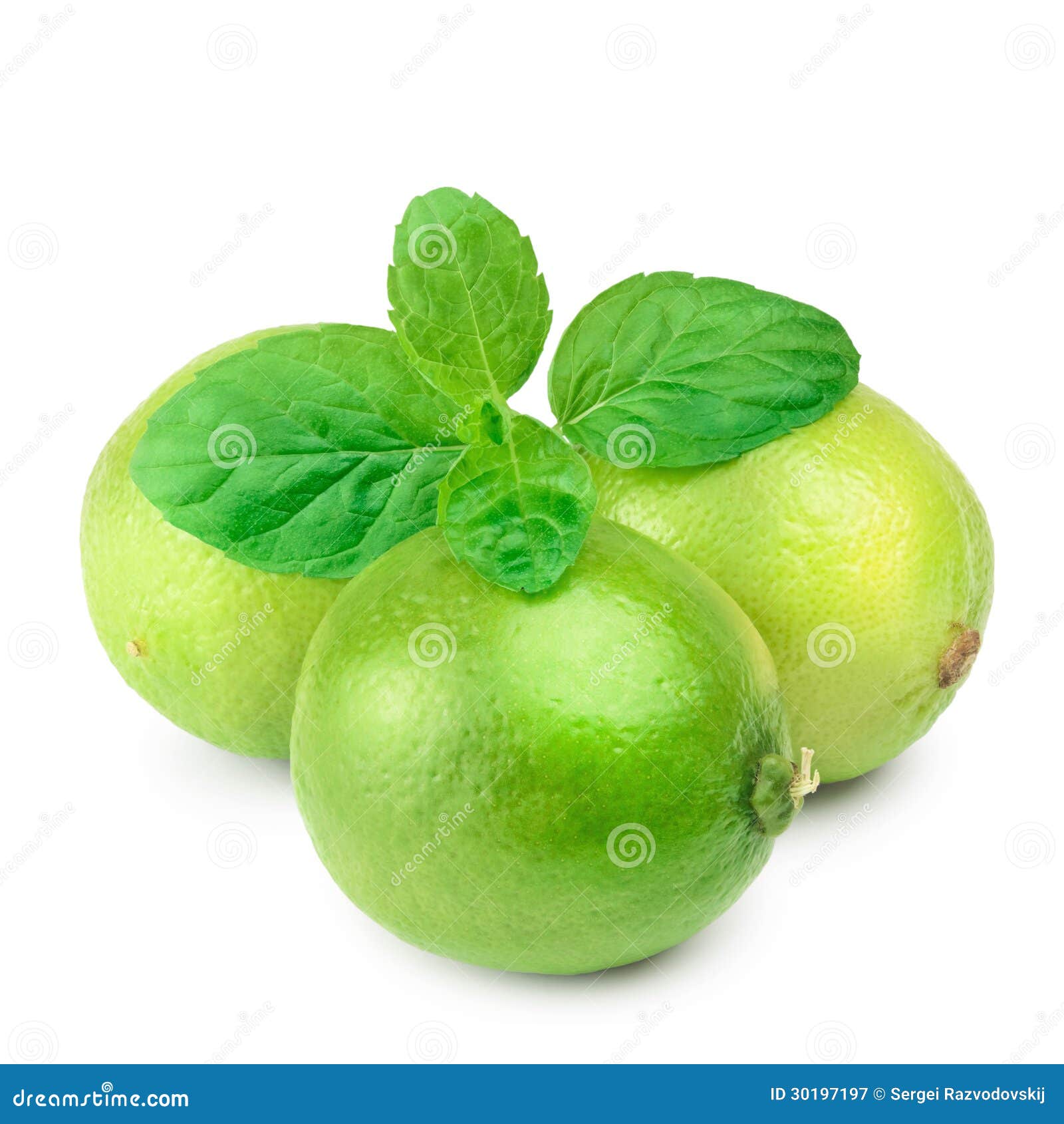 Lime stock image. Image of mentha, foodstuff, fruit, food - 30197197