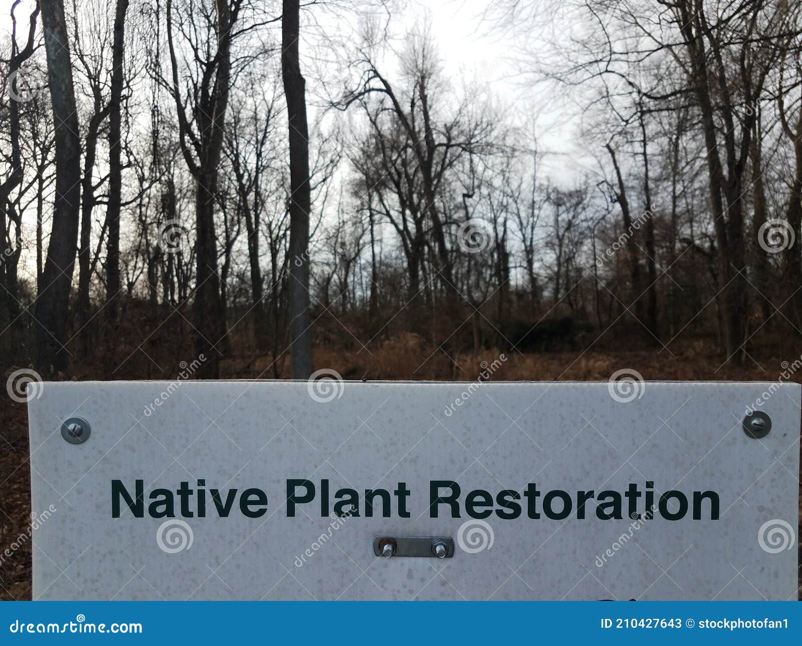 Native Plant Restoration Sign with Trees in Woods Stock Image - Image ...
