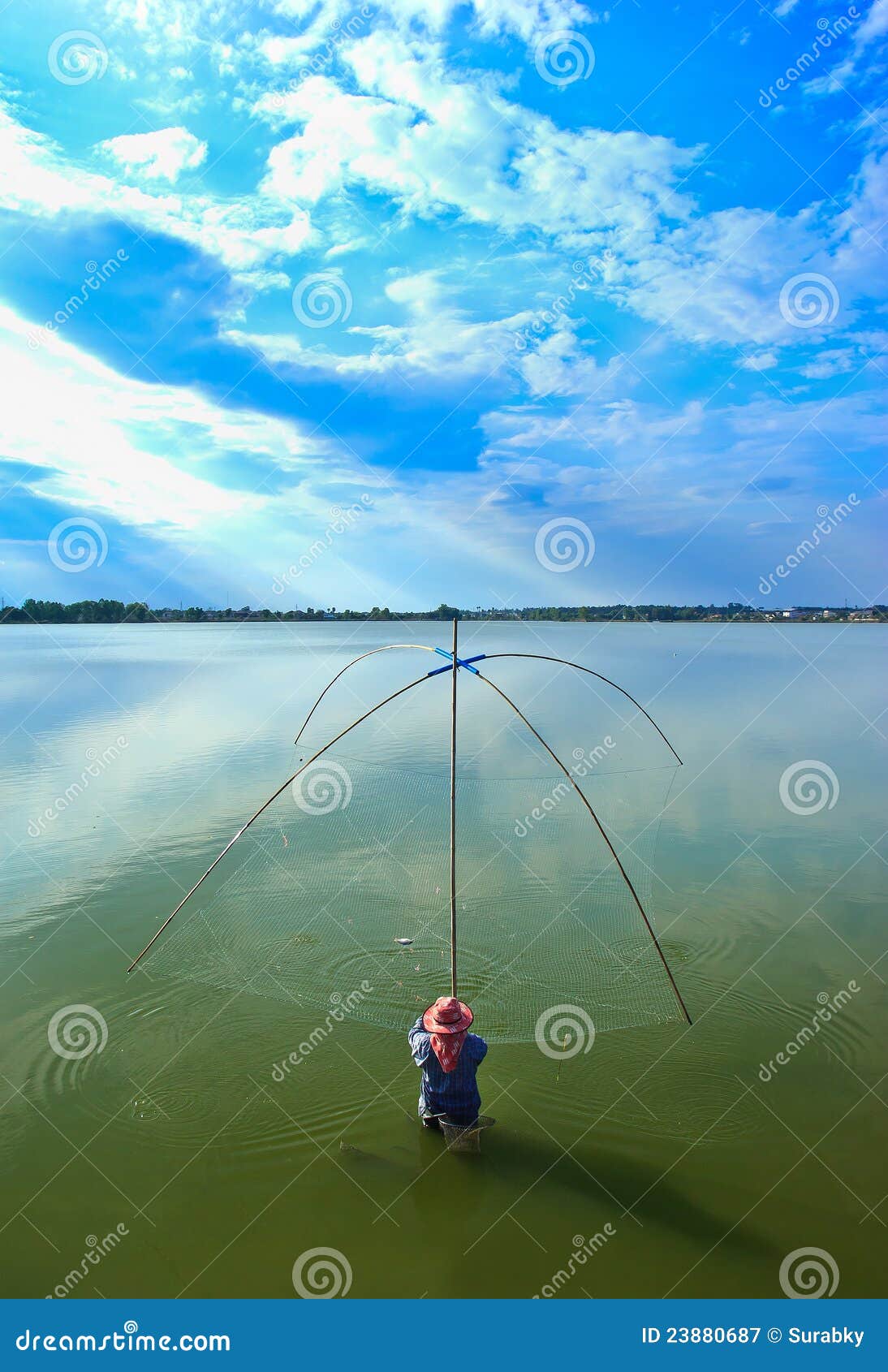 Native Thai style fish stock image. Image of water, crop - 23880687