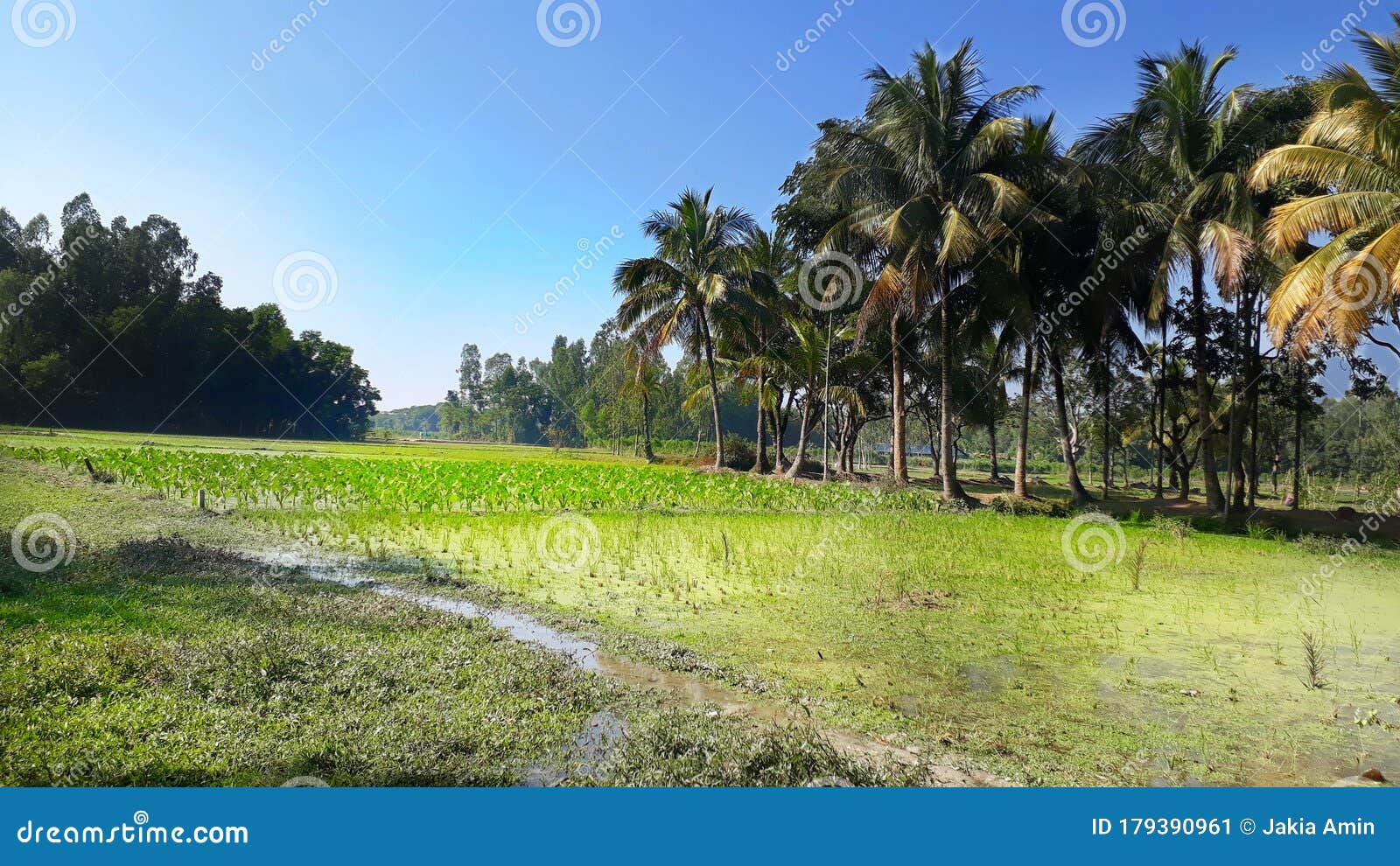 Native Village Scene stock image. Image of hill, village - 179390961