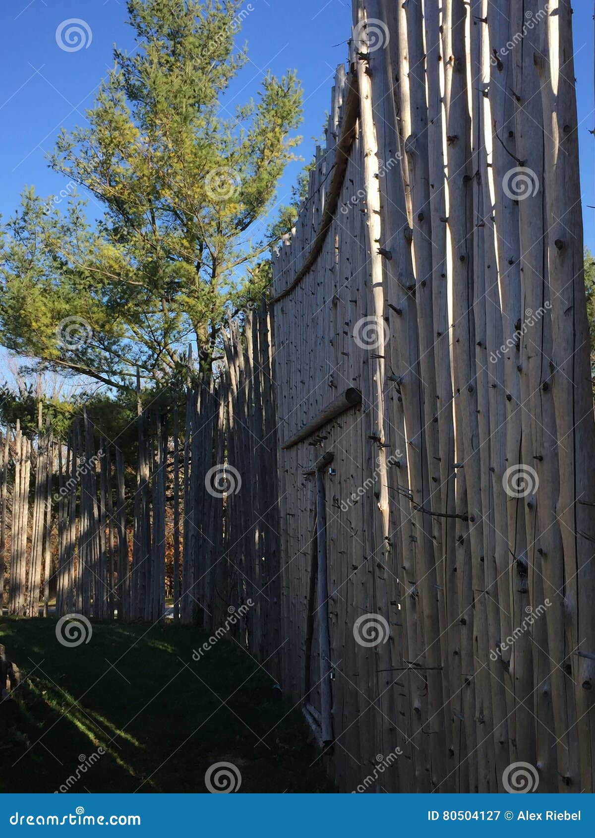 Native wall stock image. Image of tall, wall, native - 80504127