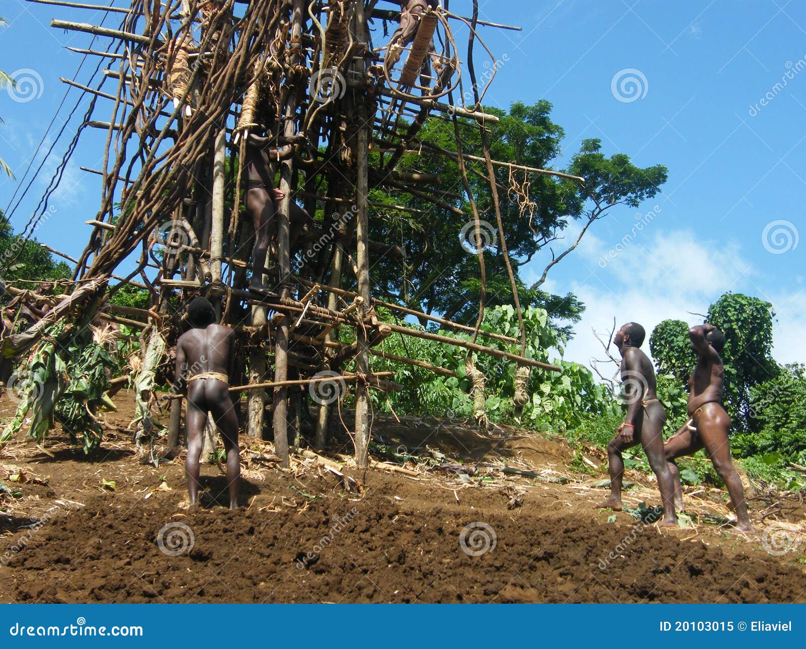 Natives Ceremony in Vanuatu Editorial Image - Image of exposed, island ...