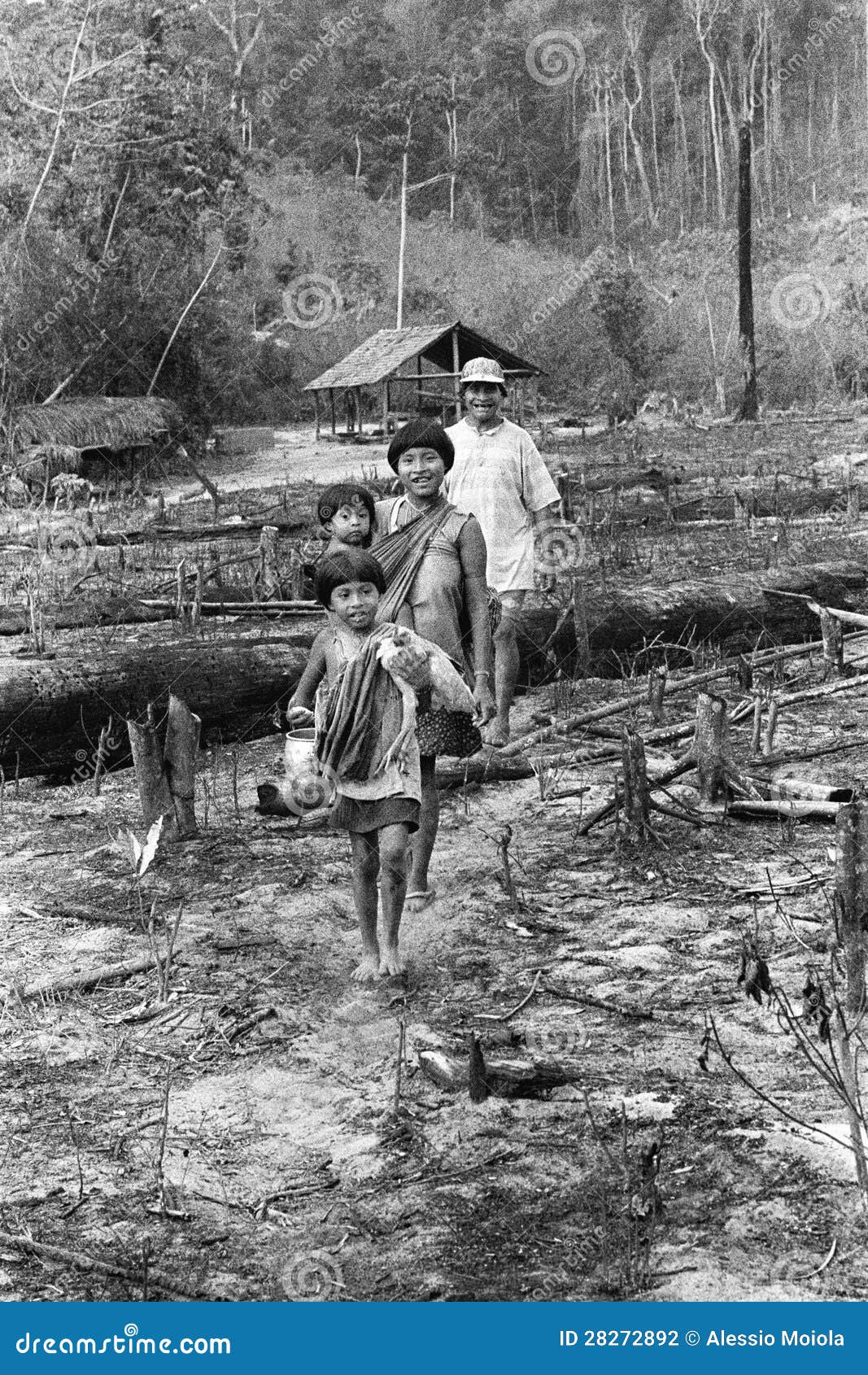 Natives Indians Awa Guaja of Brazil Editorial Photography - Image of ...