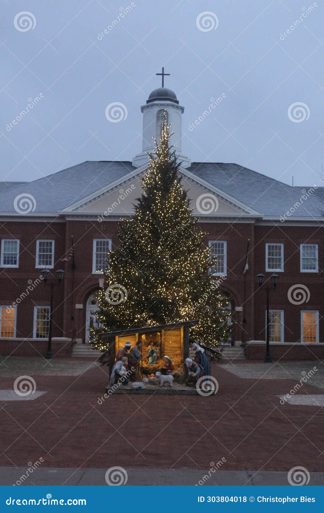 Nativity Scene in Front of a Large Pine Tree with White Lights Stock ...