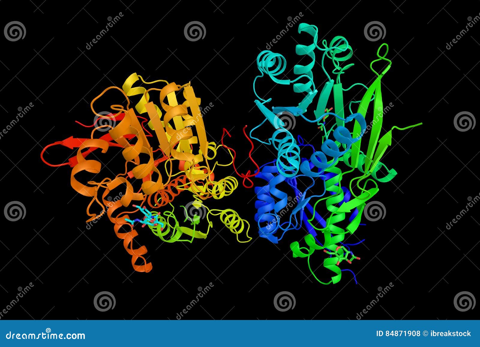 Natriuretic Peptide Precursor C, Also Known As NPPC, a Protein W Stock ...