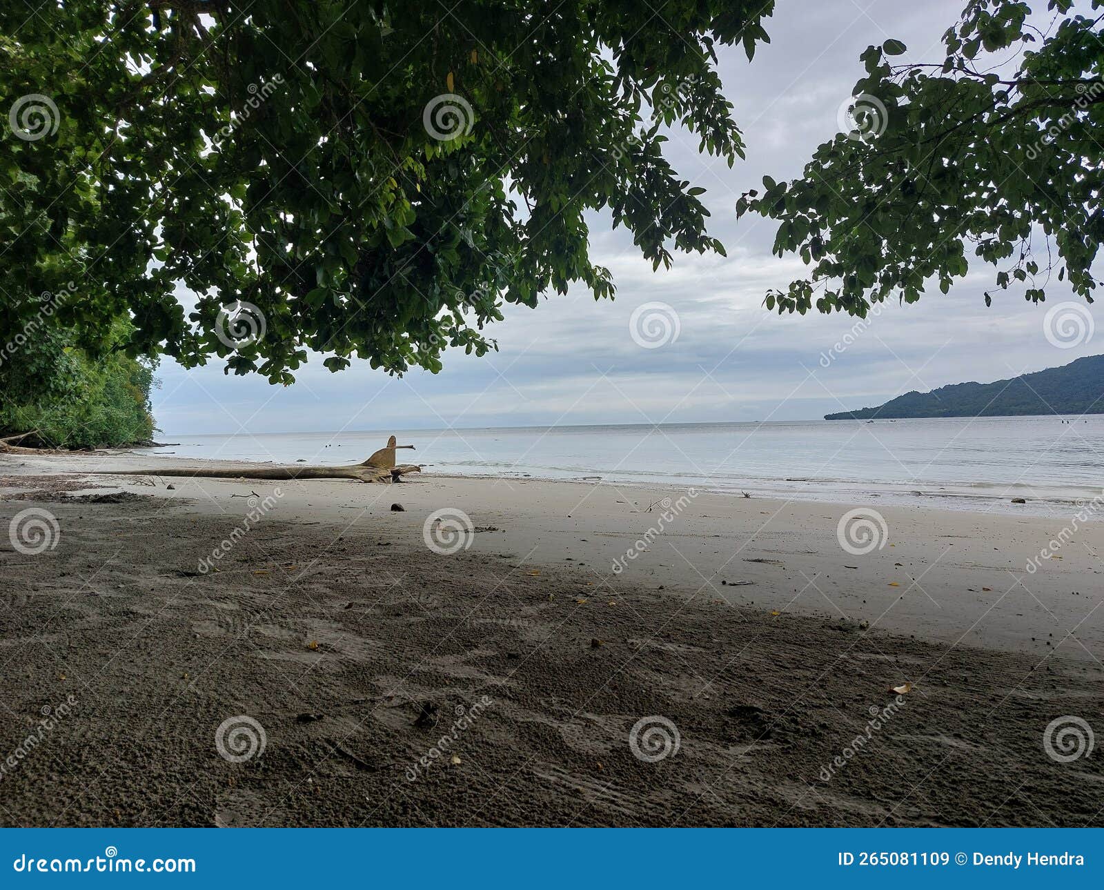 Natsepa beach stock image. Image of explore, nature - 265081109