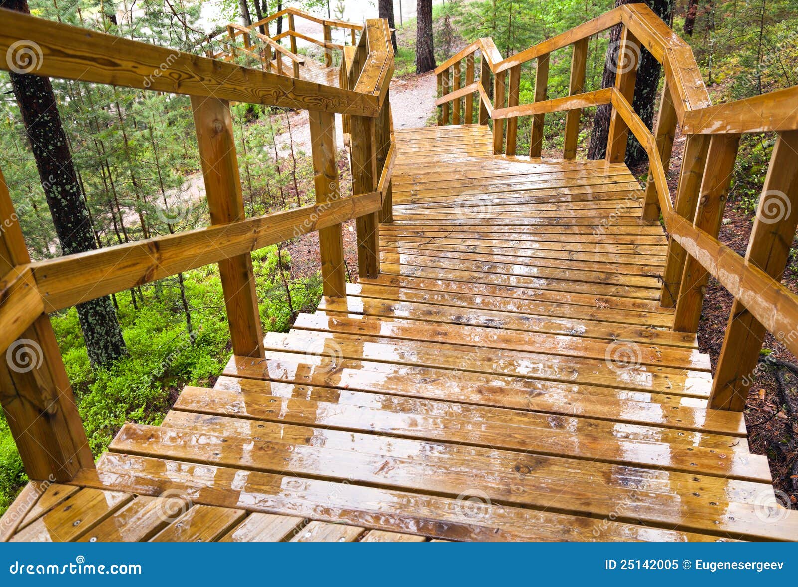 Natte Houten Trap in Het Bos Stock Afbeelding - Image of openlucht ...