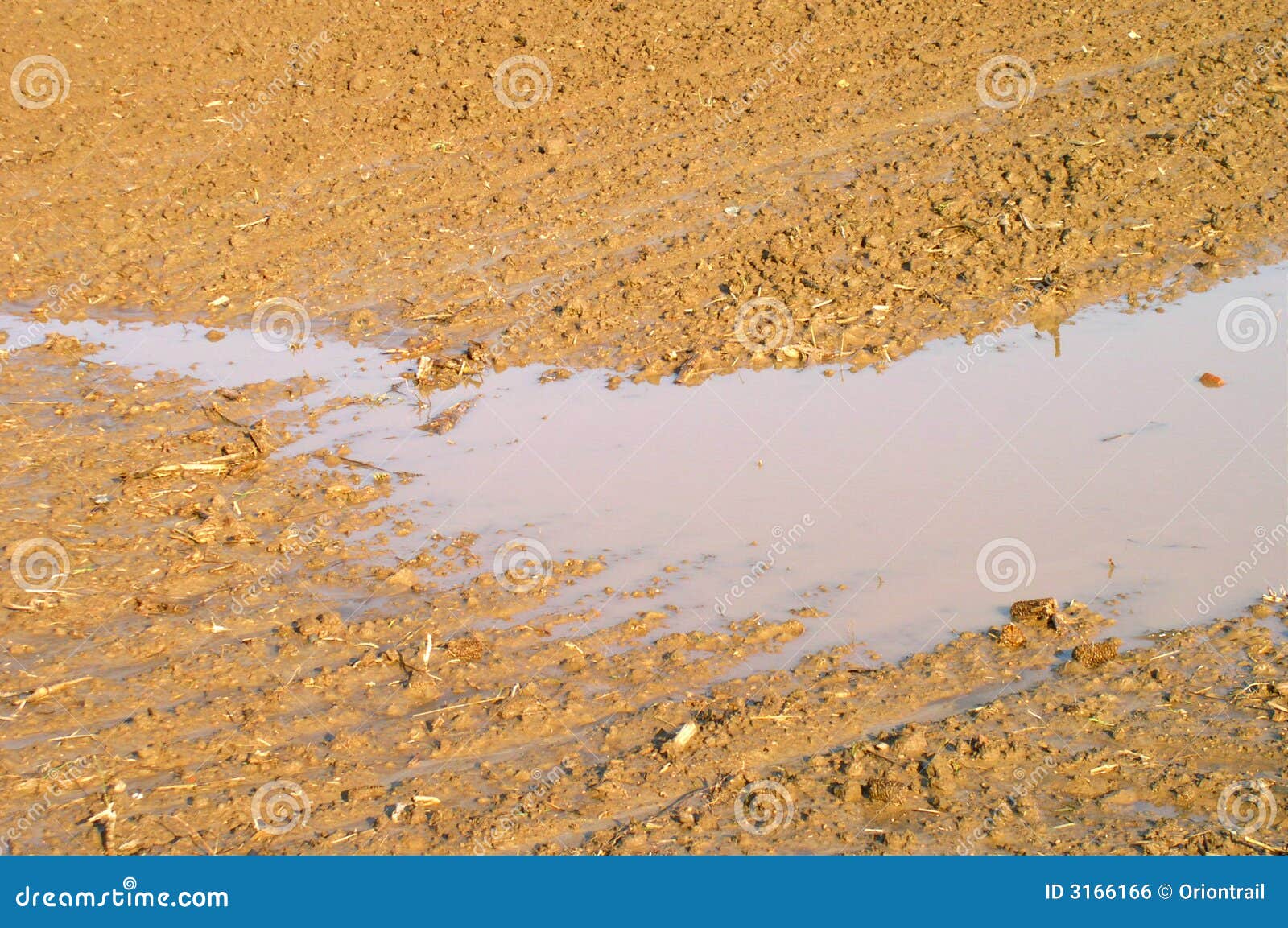 Natte landbouwgrond stock foto. Image of aarde, meer, meren - 3166166