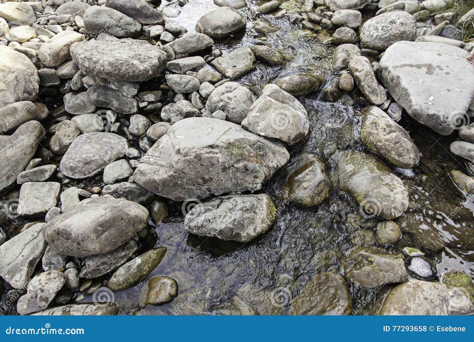 Natte stenen in een rivier stock foto. Image of grint - 77293658