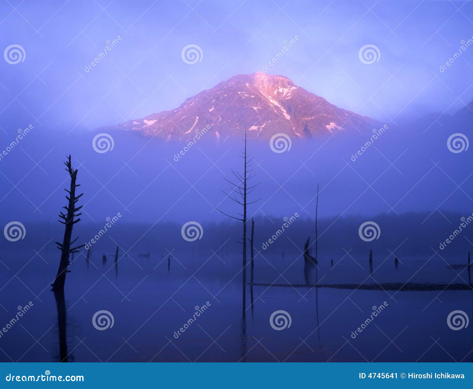 Natuer 20 fotografering för bildbyråer. Bild av purpurt - 4745641