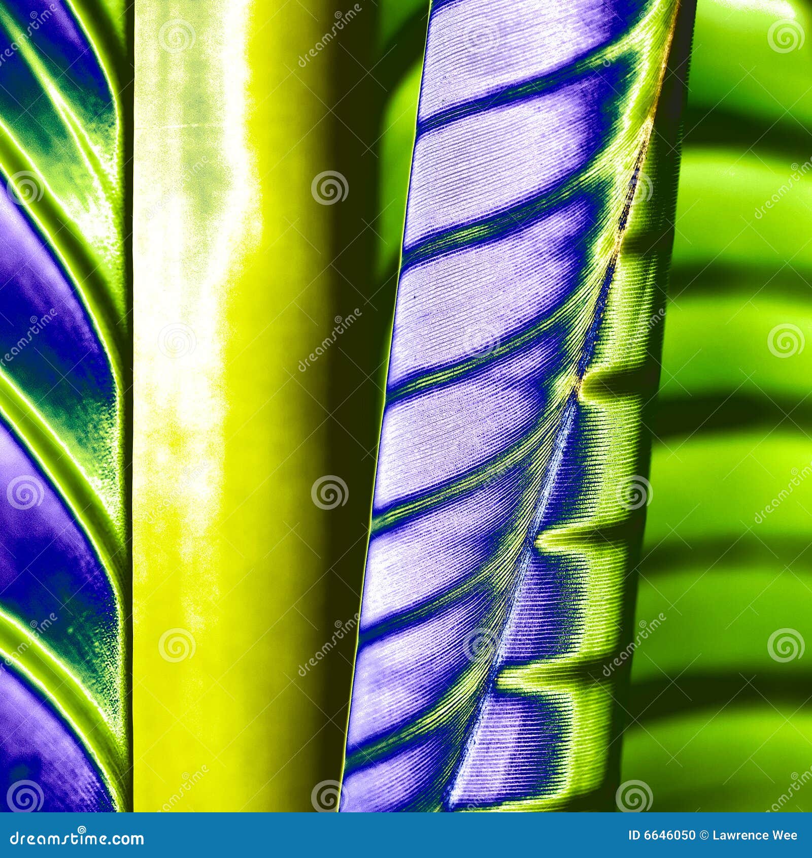 Natural Abstract stock photo. Image of metallic, digital - 6646050
