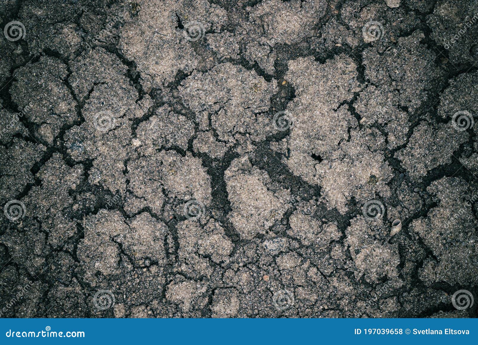 Natural Abstract Background of Dried Peat Ground. Grey Texture of Soil ...