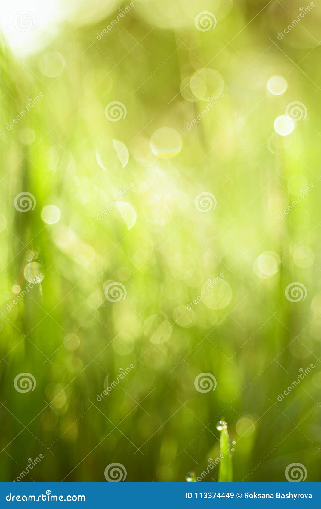 Natural Abstract Background Stock Image - Image of natural, light ...