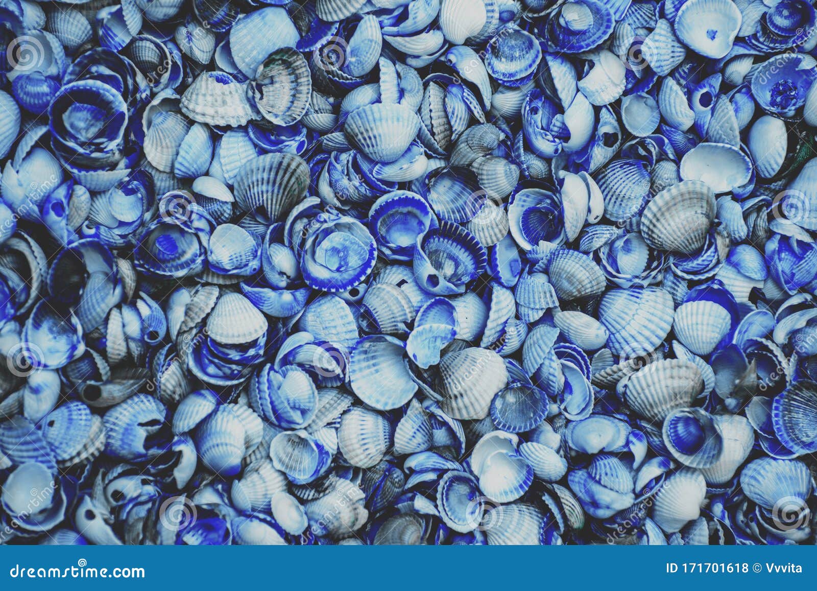 Blue Colored Shells Background Stock Photo - Image of landscape, beach ...