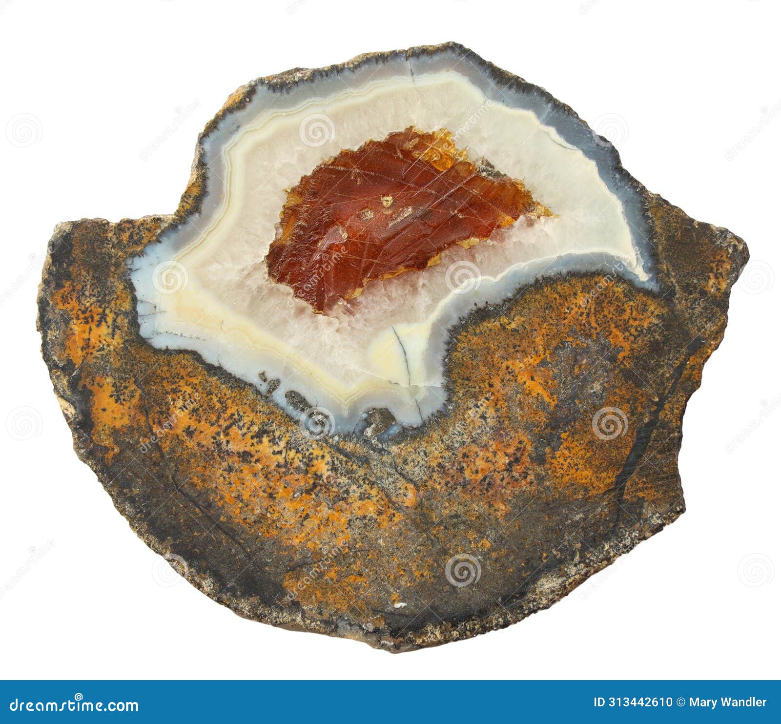 Natural Agate Slice Isolated on a White Background Stock Photo - Image ...