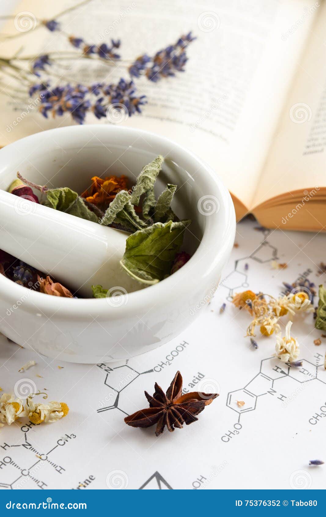 Natural Apothecary with Herbs and Book Stock Photo - Image of natural ...