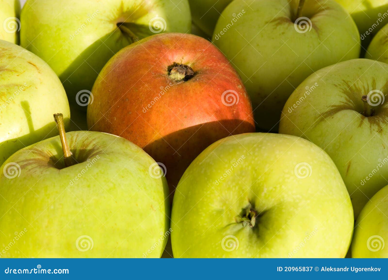 Natural apple stock image. Image of dieting, fruit, ripe - 20965837