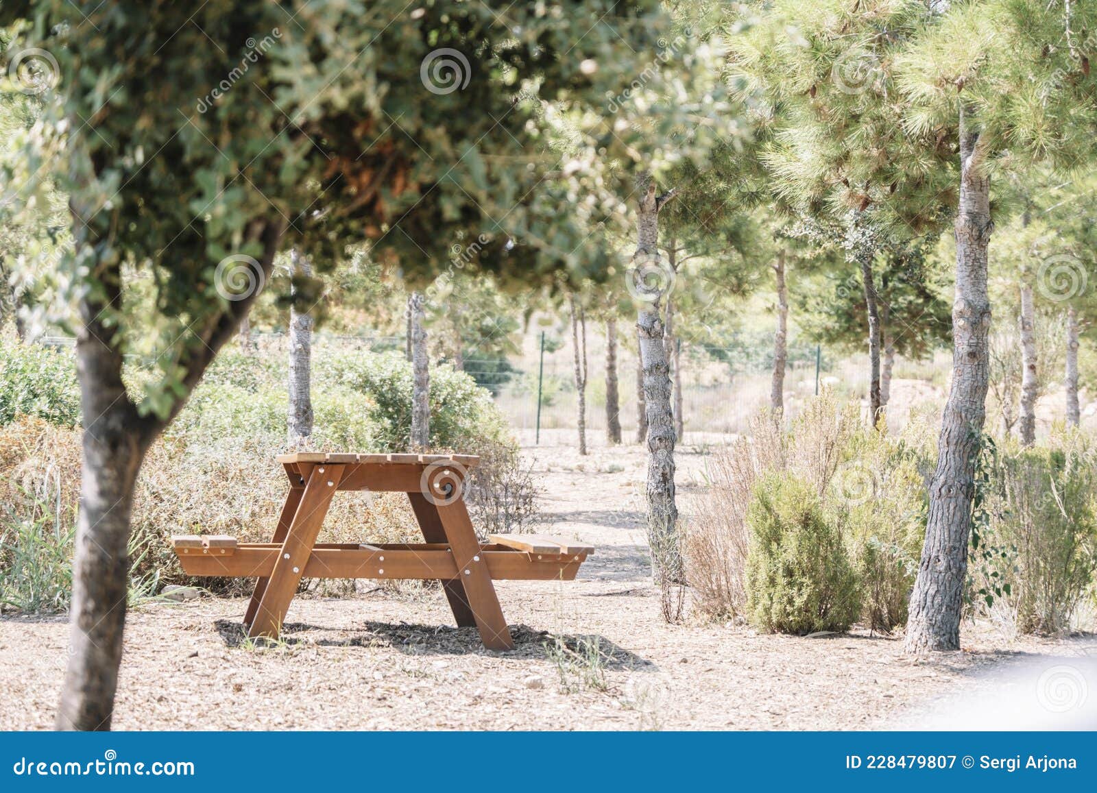 Natural Area with Wooden Table for Picnics Stock Image - Image of wood ...