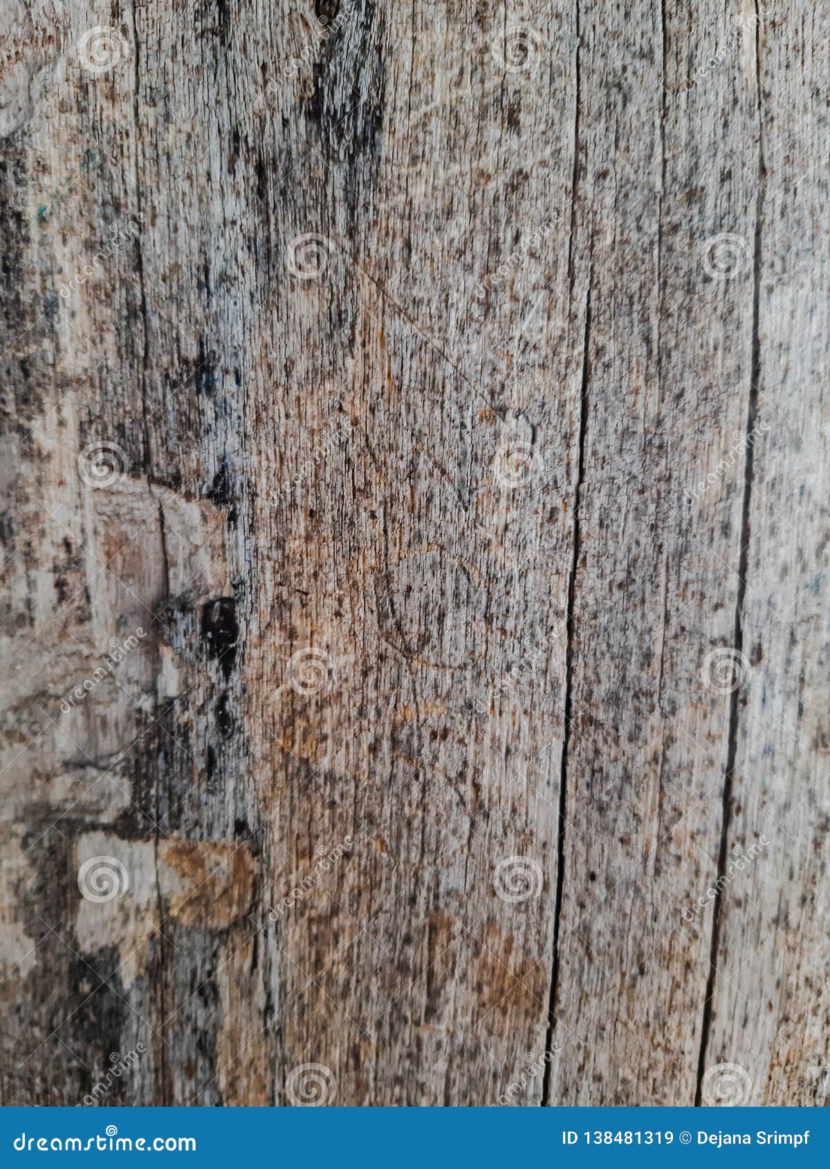 Dry Tree Bark Texture Background Stock Image - Image of paper, natural ...