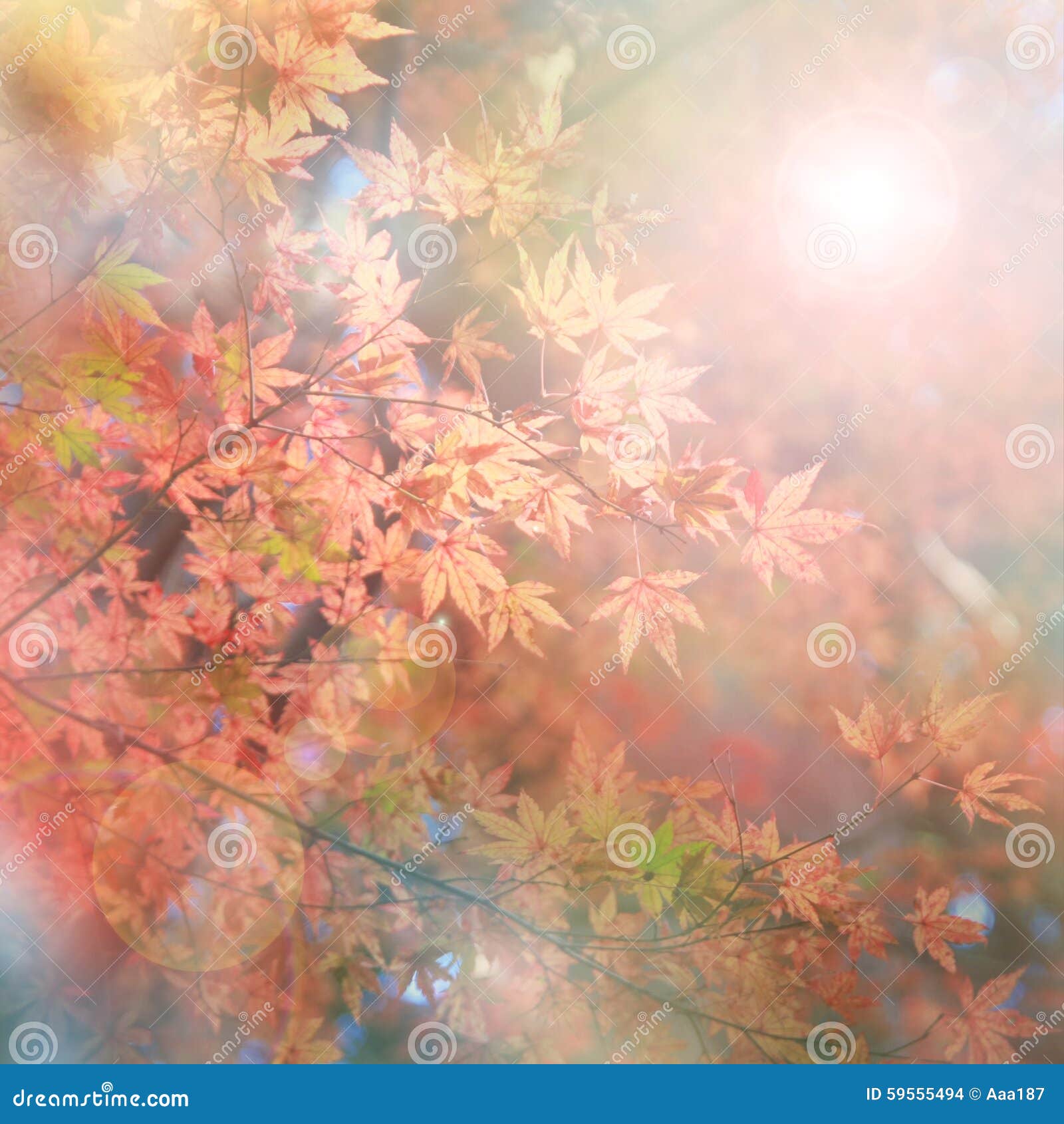 Natural autumn background stock photo. Image of background - 59555494