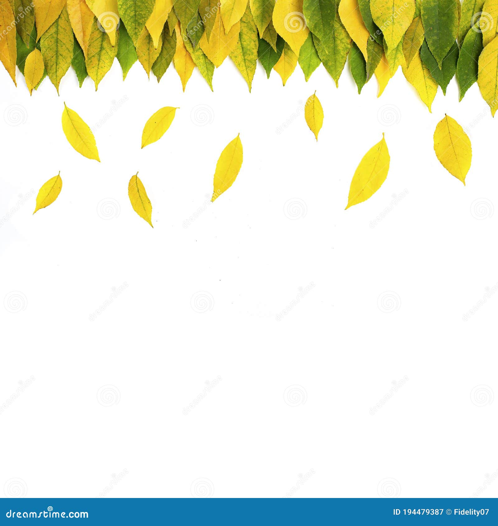 Natural Autumn Border Pattern of Yellow and Green Falling Leaves Stock ...