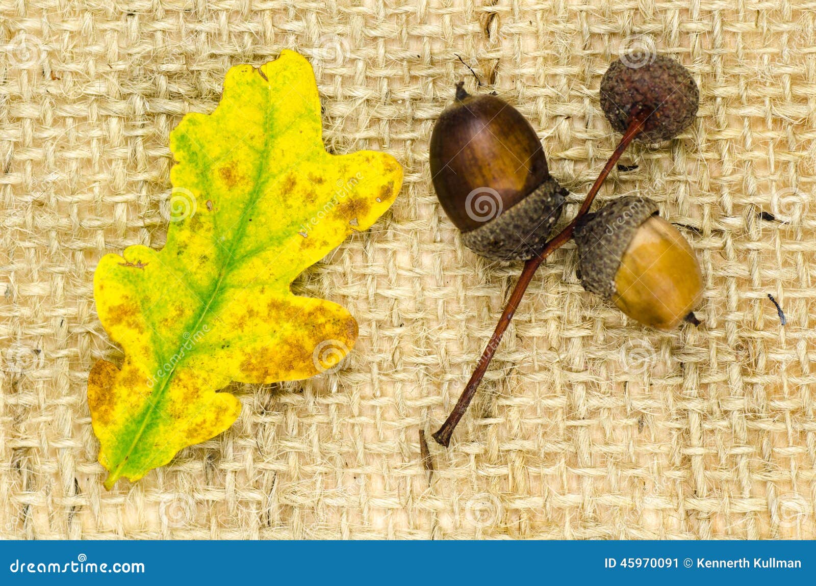 Natural Autumn Objects at Burlap Stock Image - Image of green, design ...