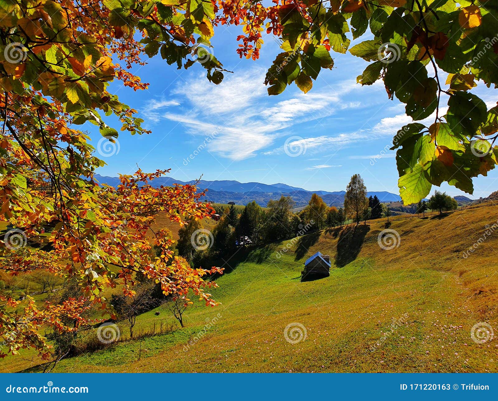 Natural autumn window stock image. Image of outside - 171220163