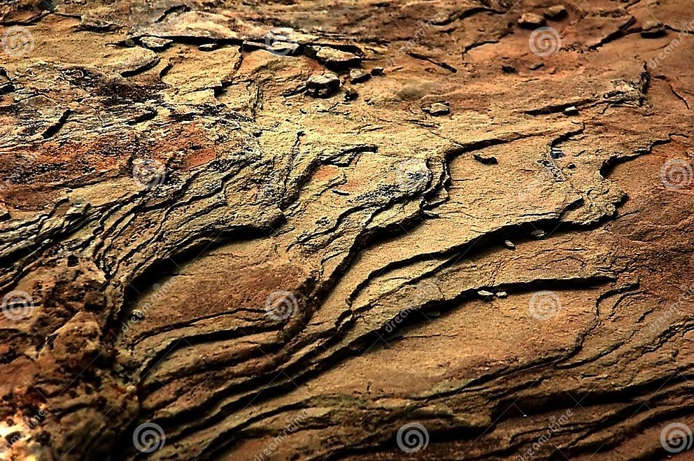 Natural Background stock image. Image of burnt, patterns - 5410249