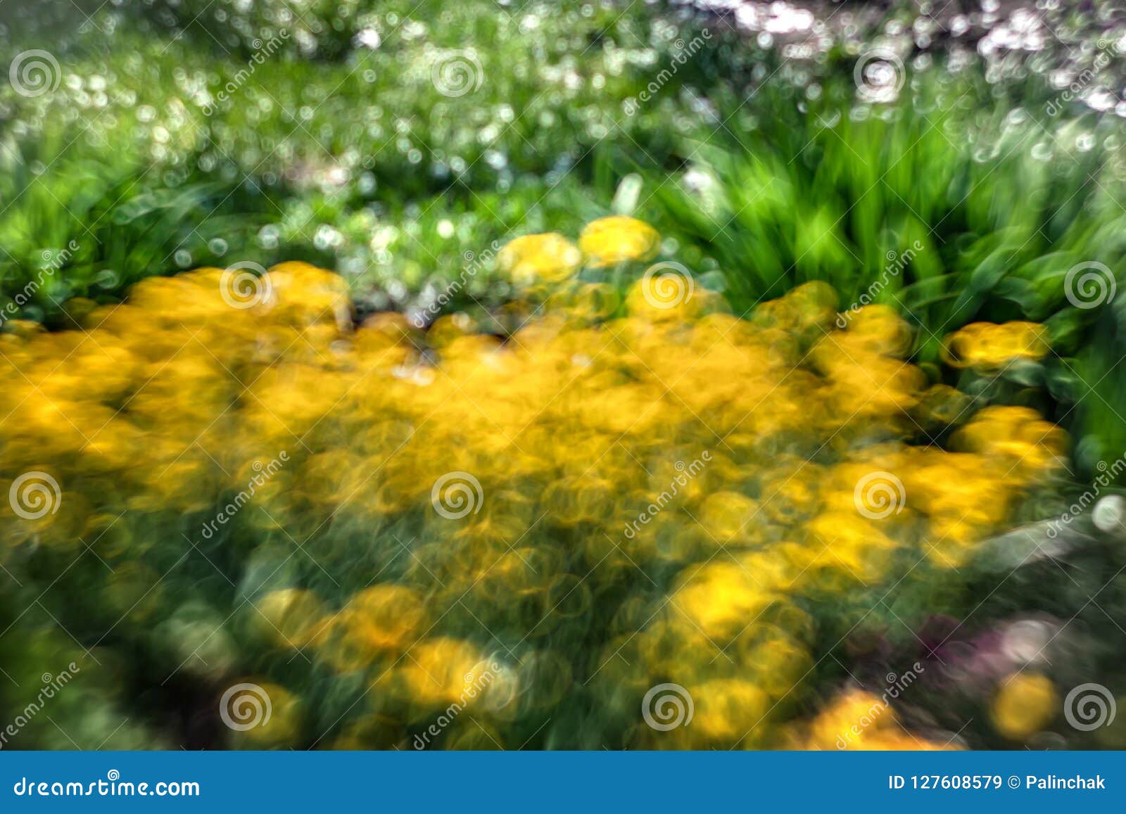 Abstract Blurred Image of a Spring Garden Stock Image - Image of grass ...