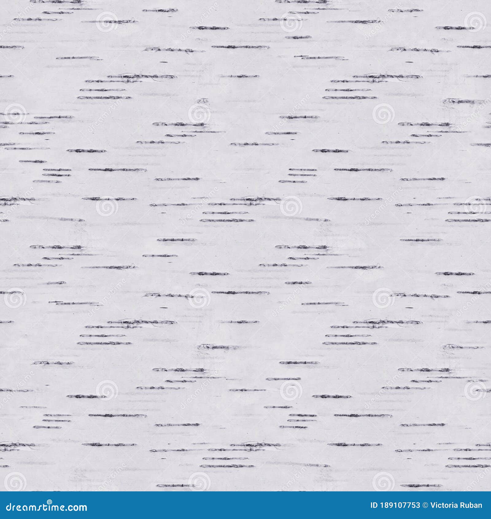 Bark Texture Of A Tree Native To The Brazilian Cerrado Royalty-Free ...