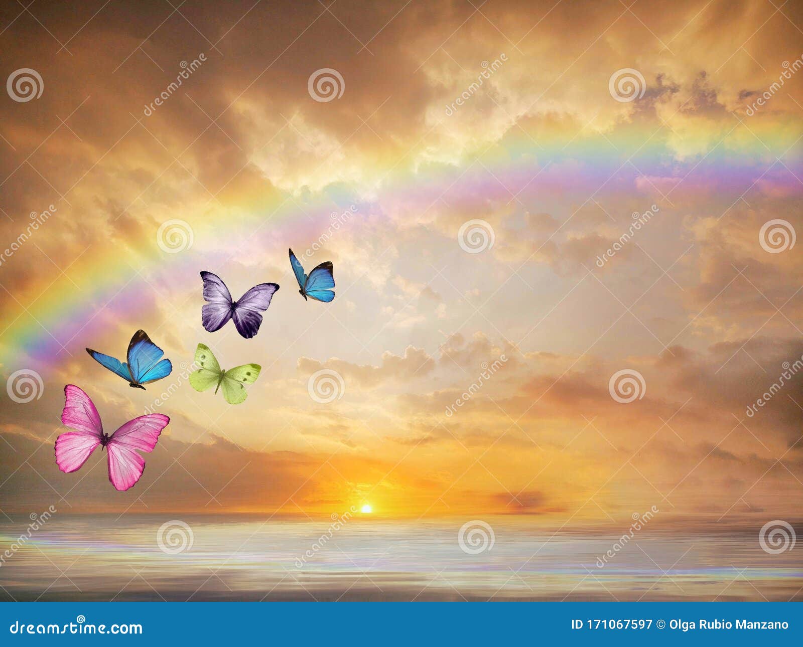 Natural Background with Butterflies and Rainbow in Sea Reflection Stock ...