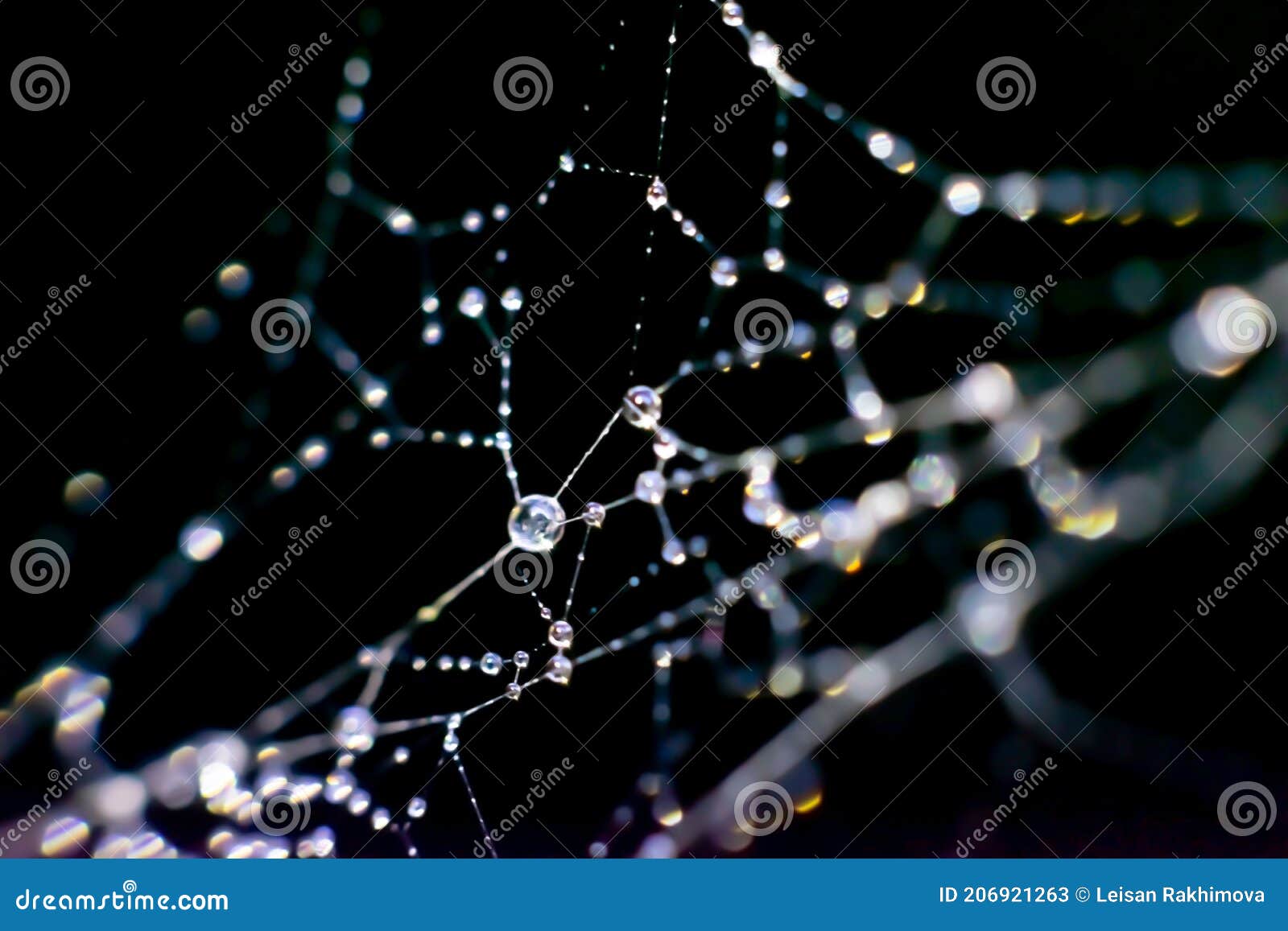 Natural Background with Filigree Spiderweb.Lots of Tiny Droplets on Web ...