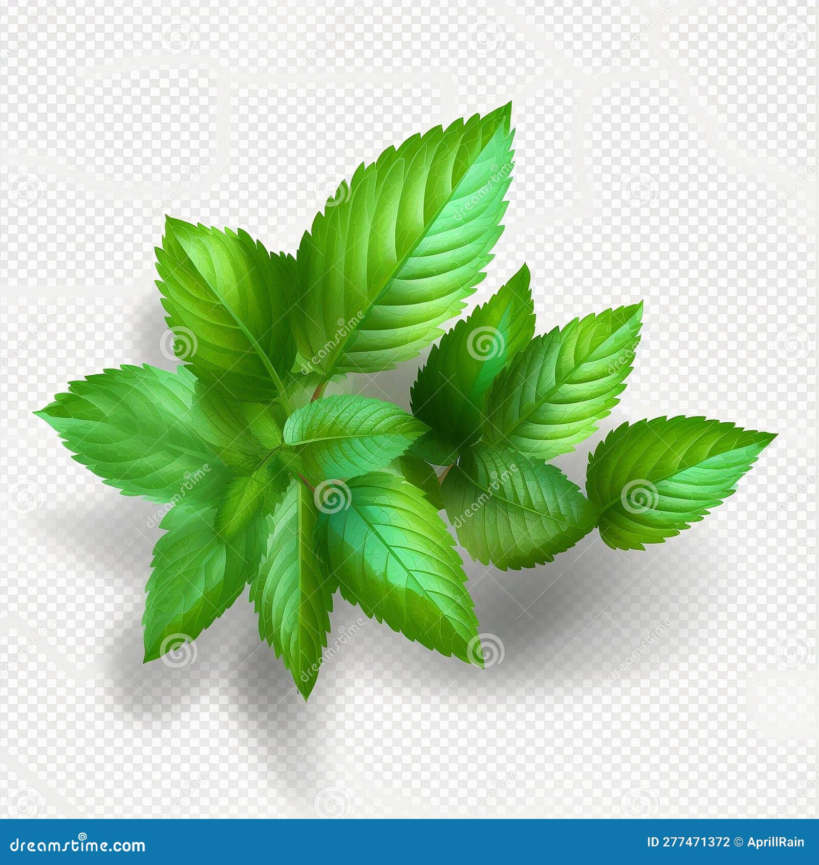 Natural Background with Green Mint Stock Illustration - Illustration of ...