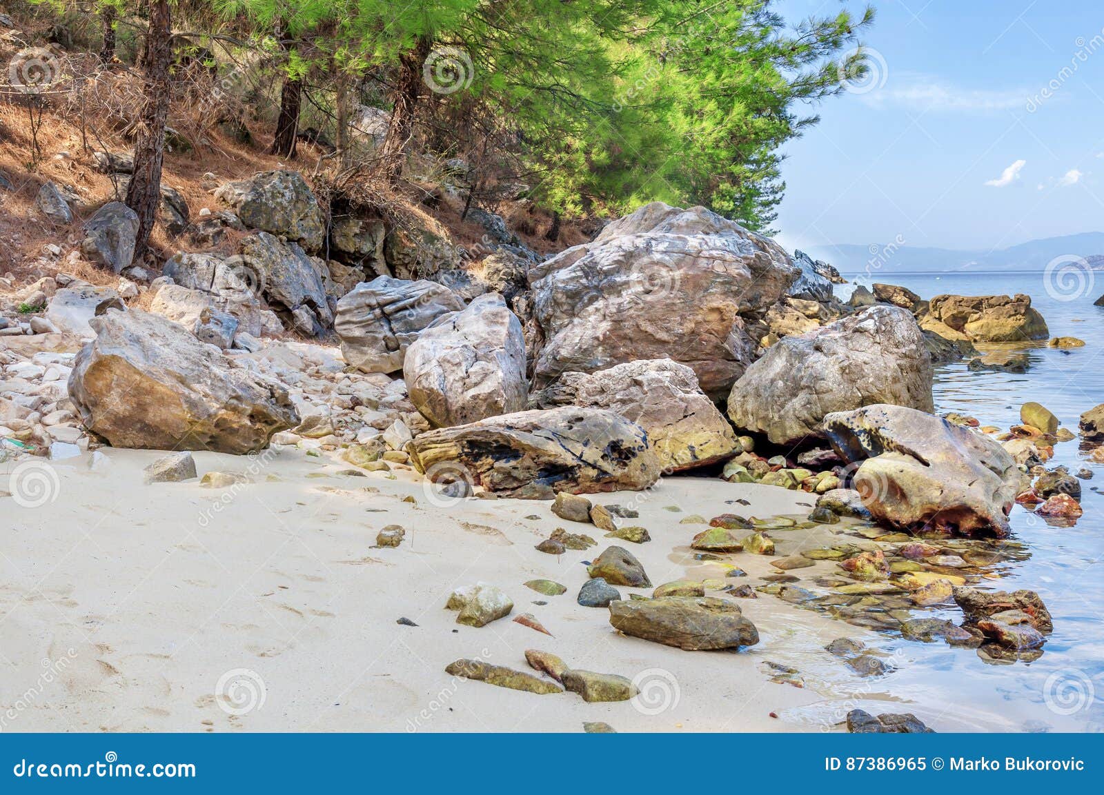 Natural Background with Green Sea, Tree, Stones and Forest Stock Image ...