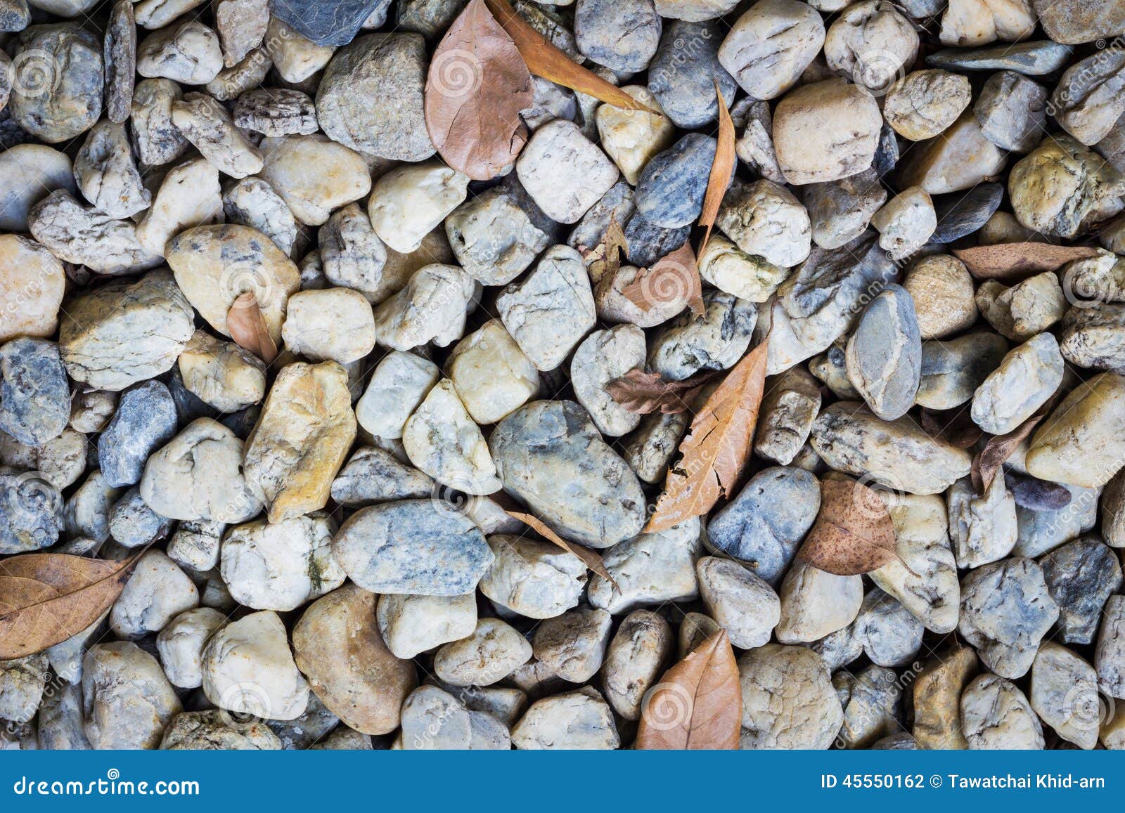 Natural Background Image of Pebbles in the Park with Dry Leaves Stock ...
