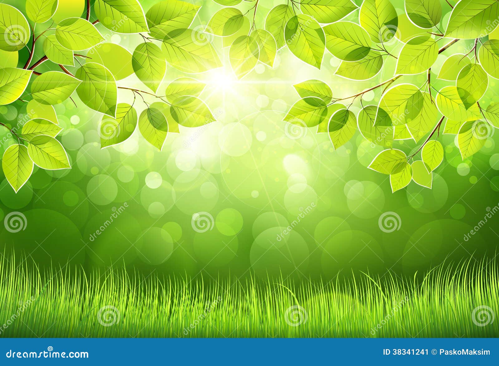Natural Background with Leaves Stock Vector - Illustration of vector ...