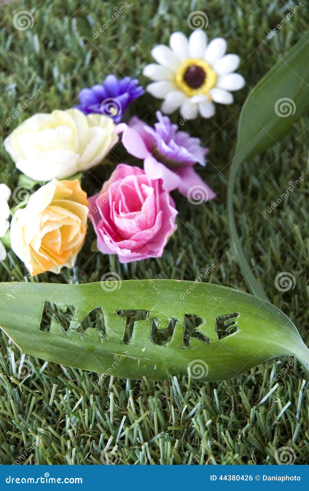 Natural background stock photo. Image of season, grass - 44380426