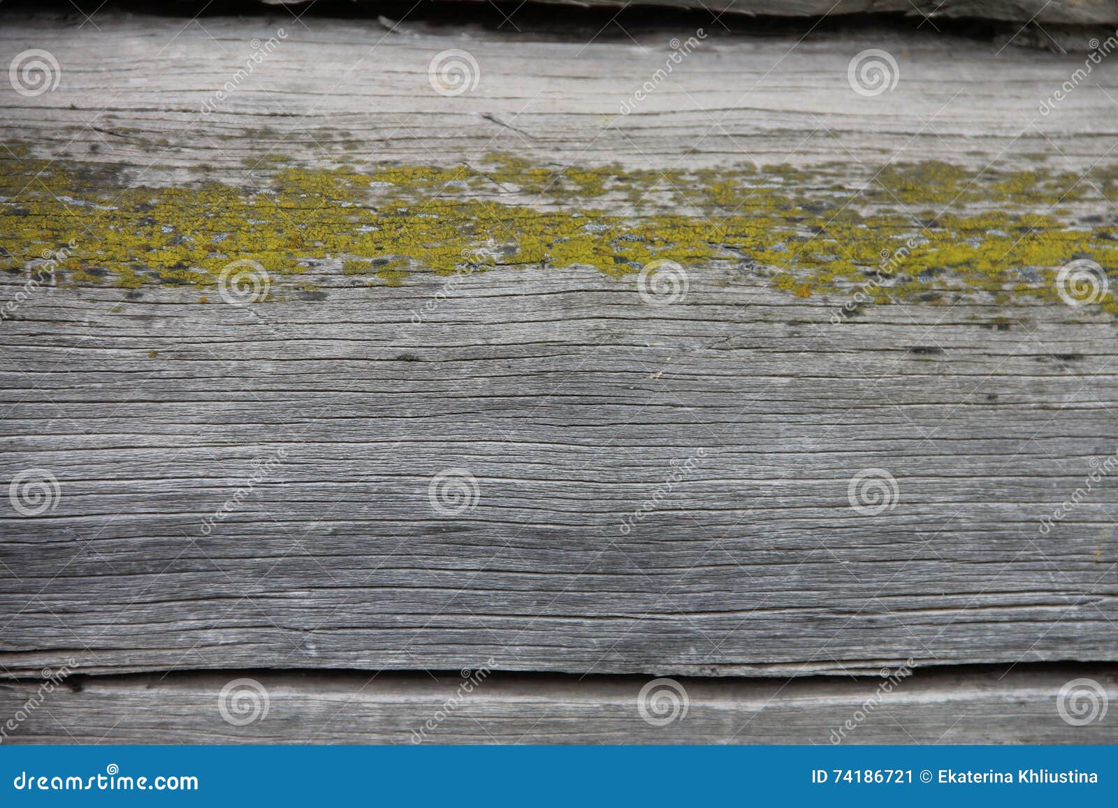 Natural Background Old Wood Texture with Moss Stock Image - Image of ...
