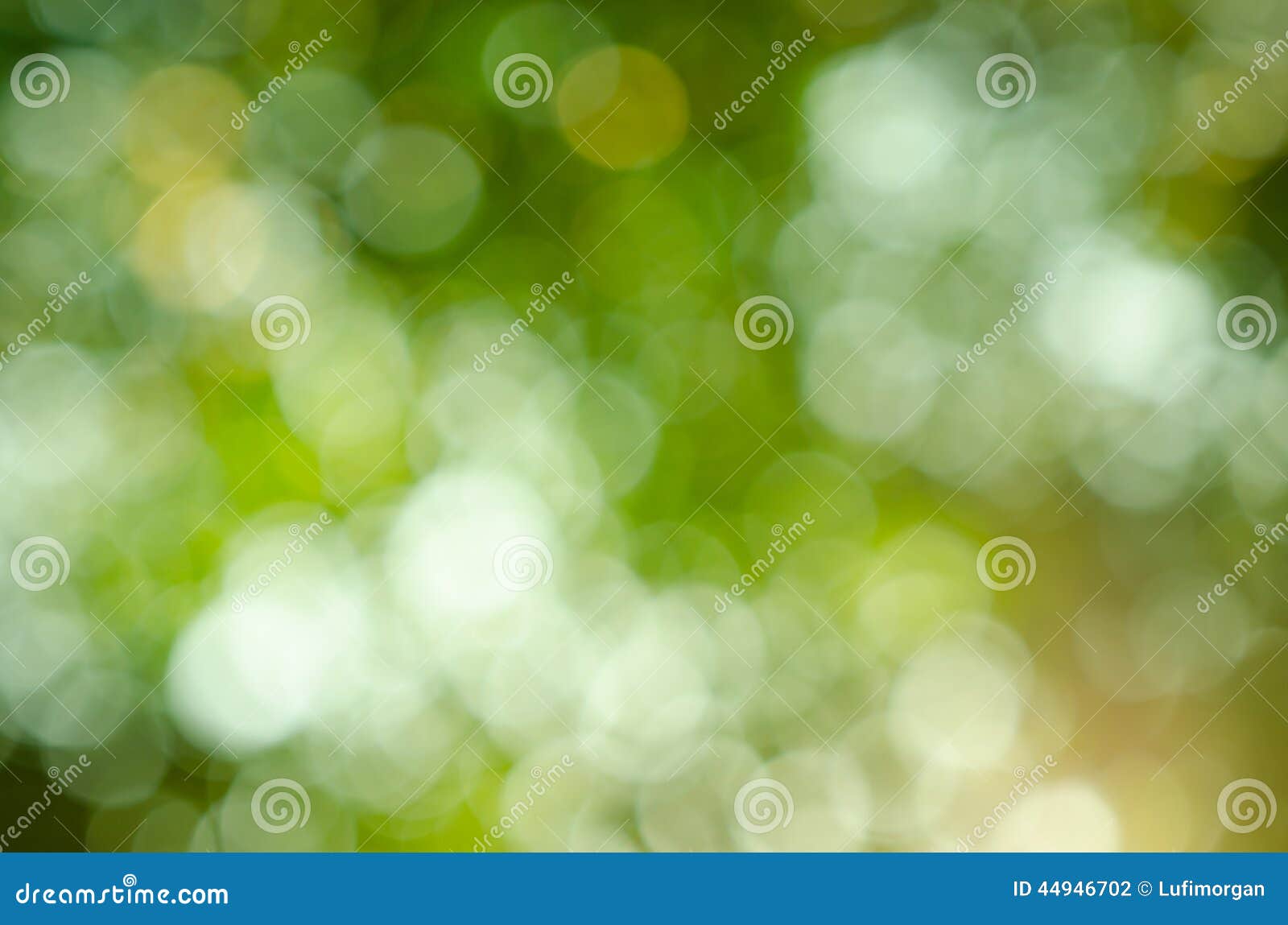 Natural Background of Out of Focus Forest Stock Photo - Image of sunny ...